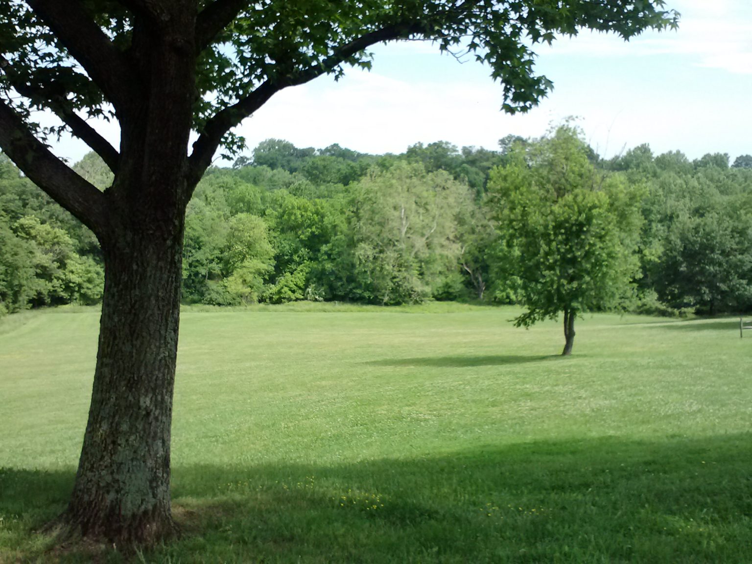 Twinbrook - Explore Rockville